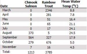 BRAVO Node 10 | Biotactic Inc.