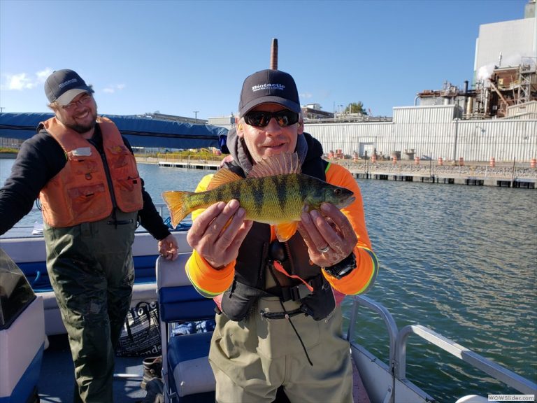 Biotactic Fisheries Research & Monitoring - Biotactic Inc.