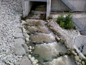 BRAVO Node 10 - Biotactic Inc.