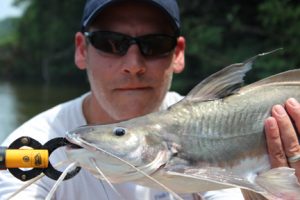 Biotactic Fisheries Research & Monitoring - Biotactic Inc.