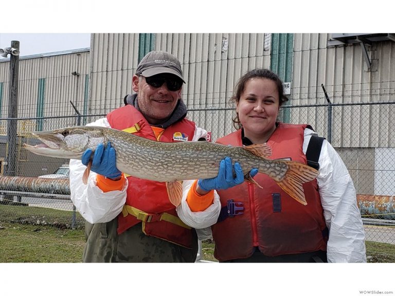 Biotactic Fisheries Research & Monitoring - Biotactic Inc.