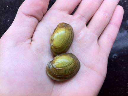 Projects | Biotactic Inc.