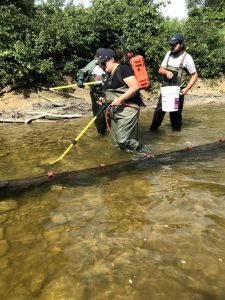 BRAVO Node 22 - Biotactic Inc.