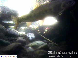 screenshots - Biotactic Inc.