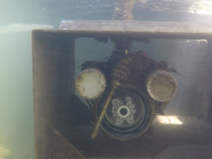 BRAVO Underwater Fish Monitoring and Counting Systems - Biotactic Inc.