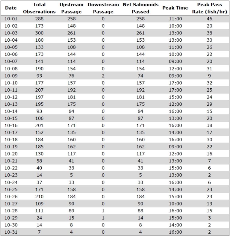 BRAVO Node 10 - Thornbury Fishway, Thornbury ON, CA.- Biotactic Inc.